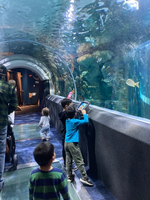 Things to do in Milwaukee with Kids - abbyparkphotography.com